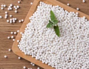 How To Cook Sago? Follow These 5 Basic Steps - Kitchen (Mis)Adventures