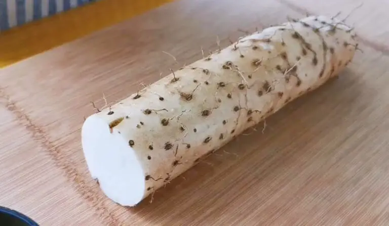 Taro Vs Sweet Potato Vs Yam Vs Yuca | Similarities & Differences ...