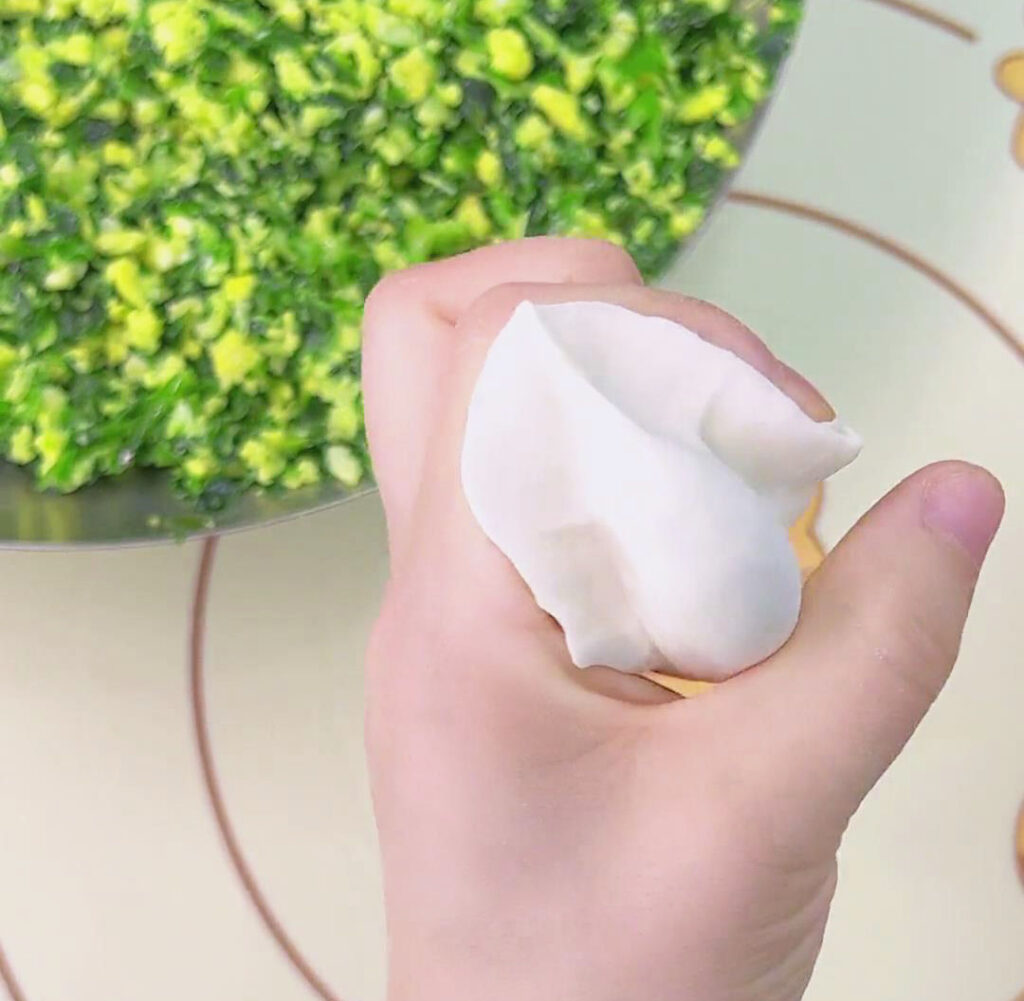 7 Ways To Fold Dumplings: A Step-By-Step Guide (Video) - Kitchen (Mis ...