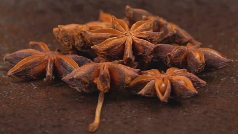 Anise Seeds Vs Star Anise | Which One Should You Use? - Kitchen (Mis ...