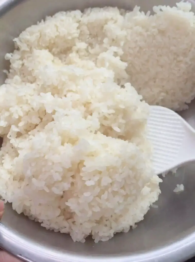 Sweet Fermented Rice Recipe (酒酿/Jiu Niang) - Kitchen (Mis)Adventures